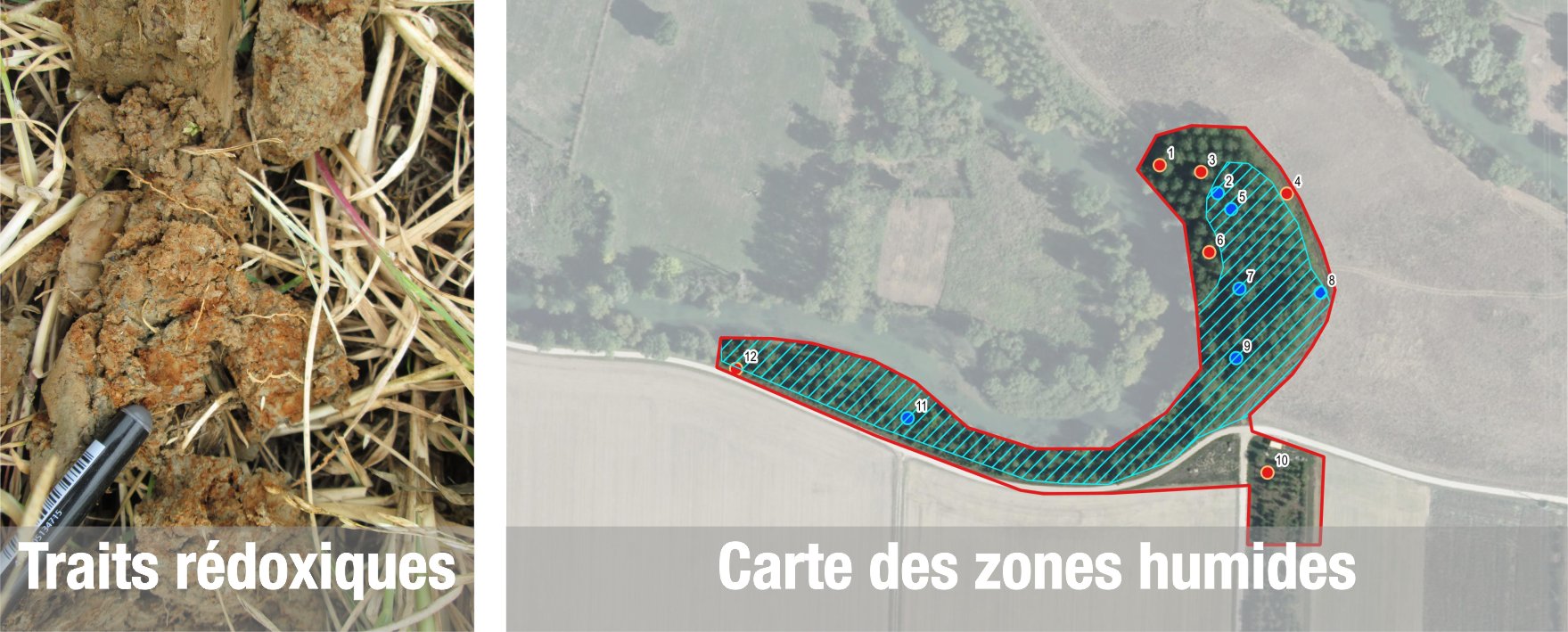 Sol, La Si Fascinante pédologie … • Sciences Environnement