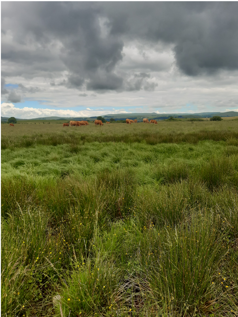 Journée mondiale des zones humides : Sciences Environnement contribue à ...